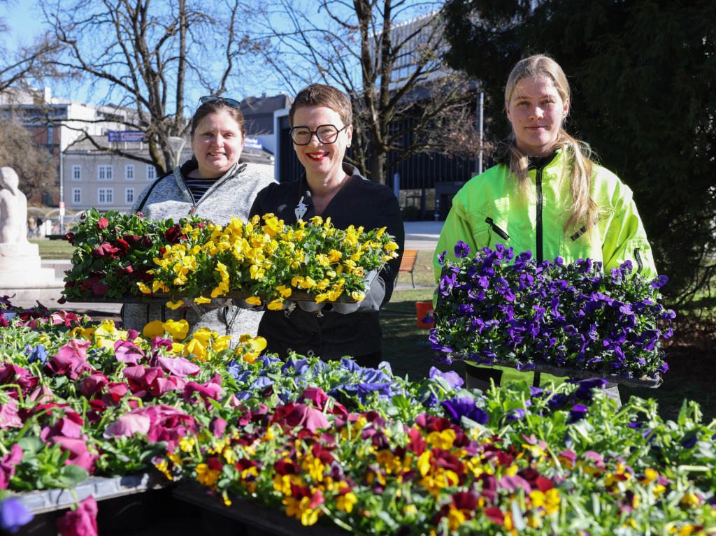 Frühlingsblumen bringen Farbe in die Stadt | Stadt Linz